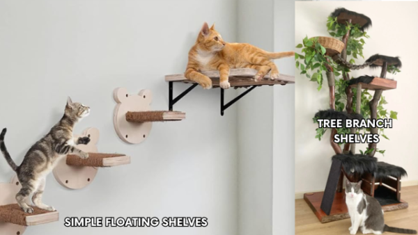 7 Quick and Easy DIY Cat Shelves for Instant Cat Heaven - NAOWtheCat.com